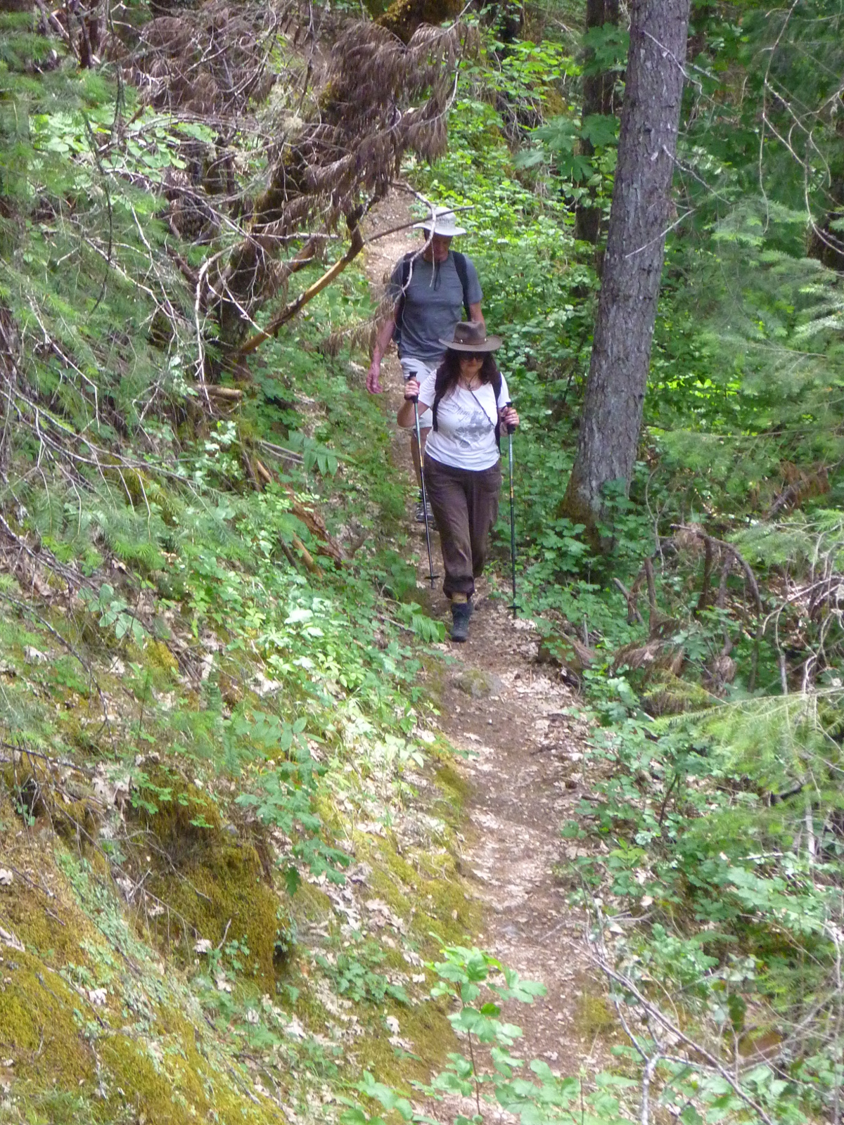 Trailing Ahead: Humbug Trail: hiking to a granite-slot waterfall