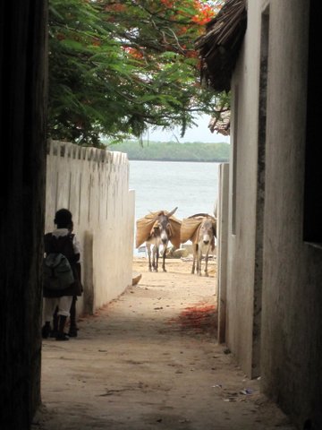 Peace Corps In Africa / Kenya: LUMA