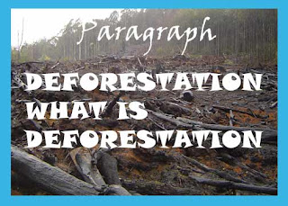 Deforestation paragraph. Causes of deforestation. Effects of deforestation.