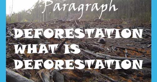 Deforestation paragraph. Causes of deforestation. Effects of deforestation.