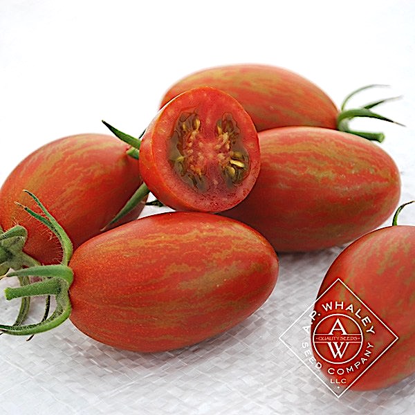 Cream of the Crop Tomatoes: Bronze Torch F1