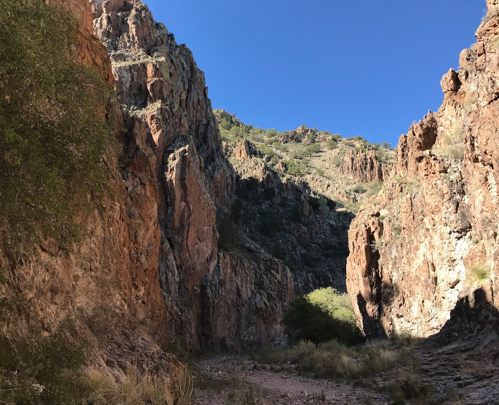 Southern New Mexico Explorer: North Fork Palomas Creek, lower box ...