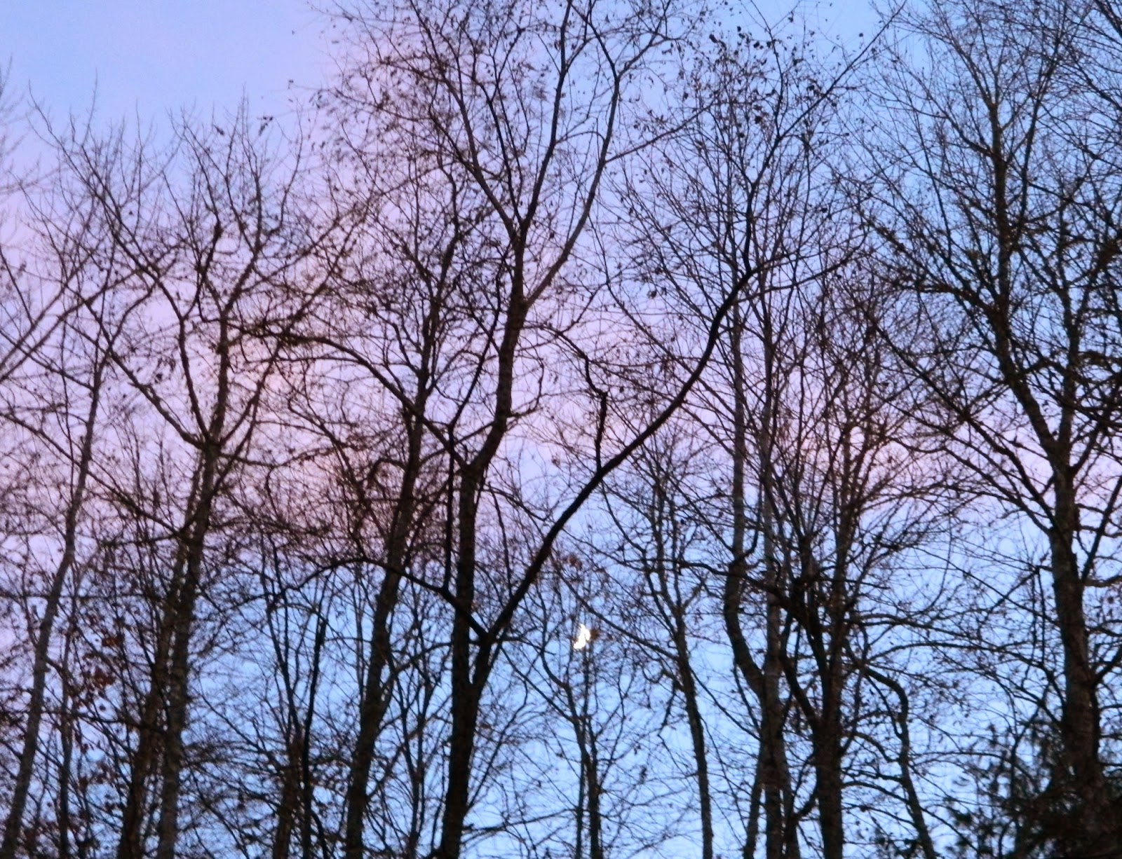Lise's Log Cabin Life: Beautiful Fall Night Sky