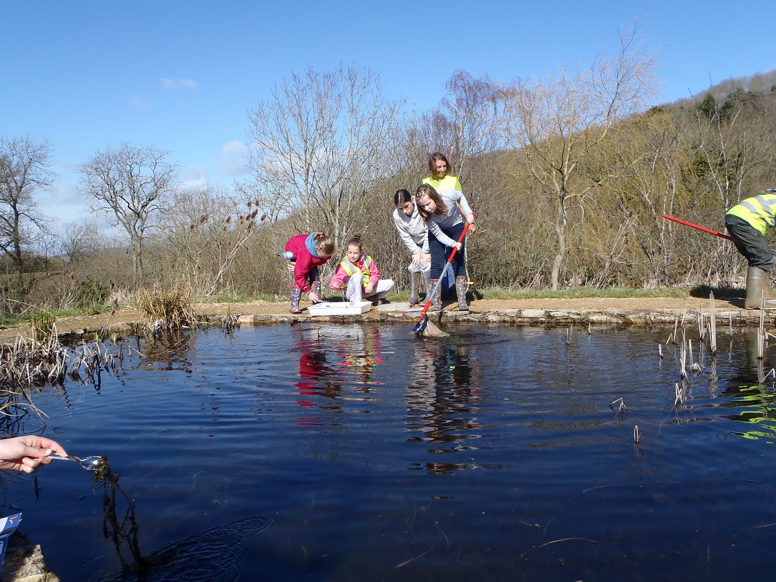 AWT Wild Schools blog: Living Landscapes... exploring the Chew Valley ...