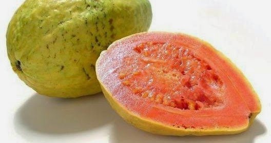 Guayaba ~ Guía para plantar