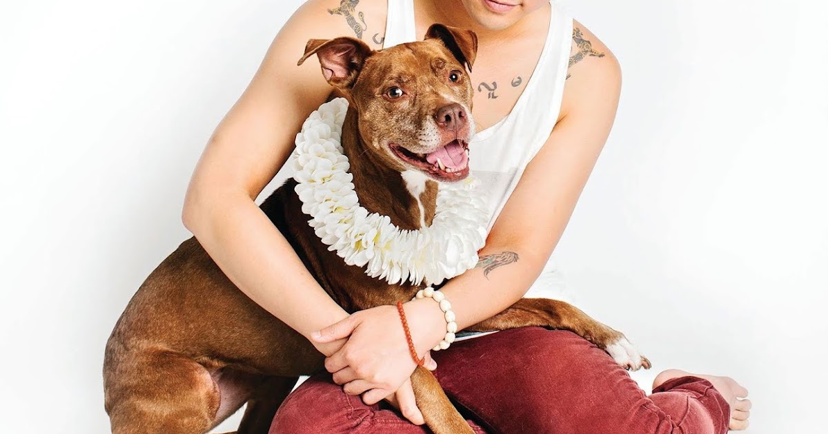 When Dogs Heal: An Interview with Jesse Freidin and Dr. Robert Garofalo