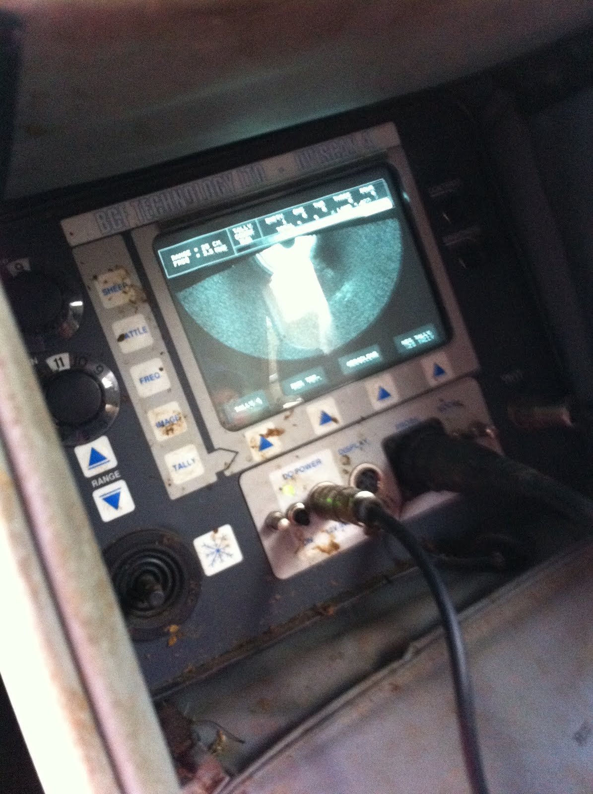 Animal Care PLC: Animal Welfare : Sheep Scanning 2013