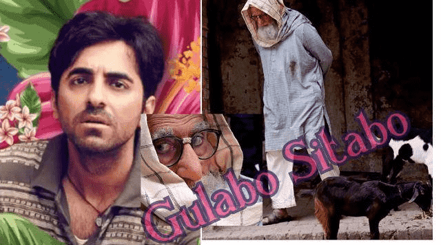 Cinema: Gulabo Sitabo letest bollywood movie release date cast and ...