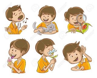 Blog educa: Descubriendo mis cinco sentidos