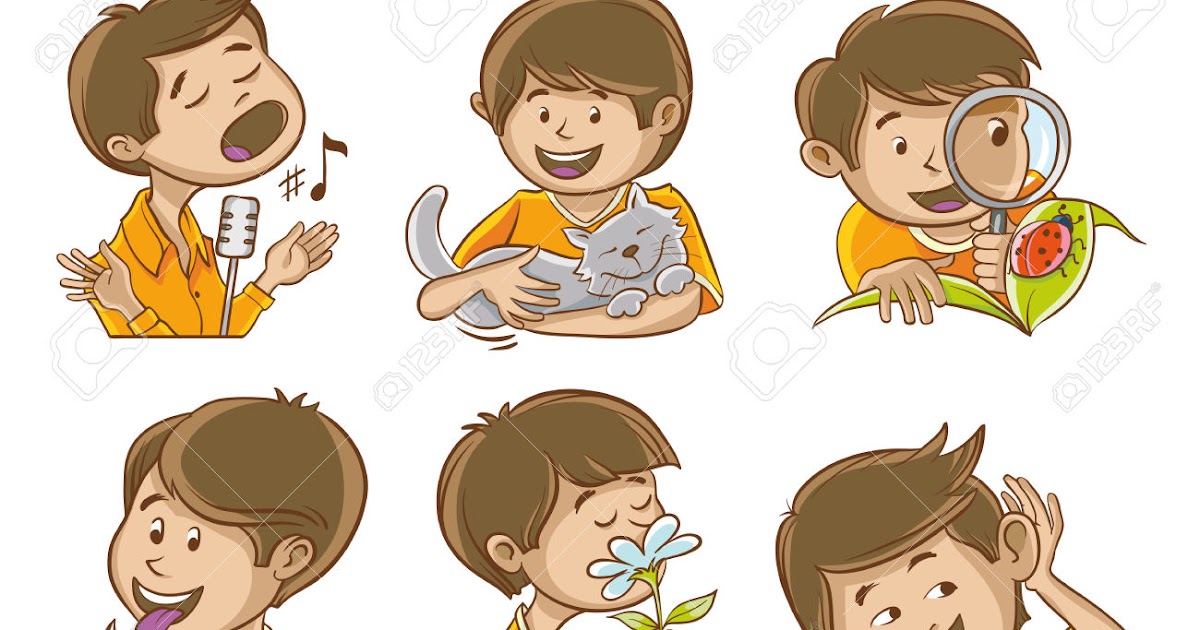 Blog educa: Descubriendo mis cinco sentidos