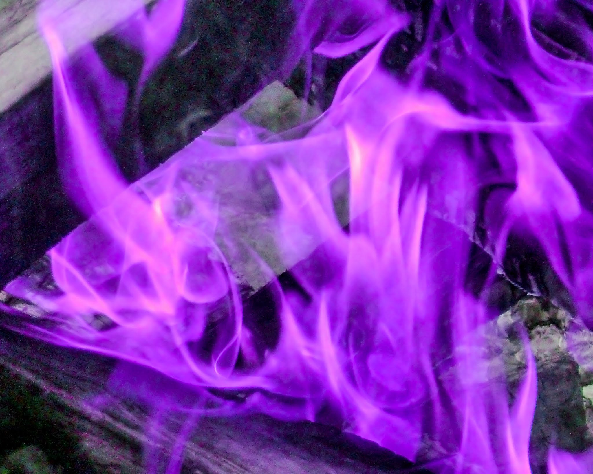 NEW SAVANNA: Purple flames