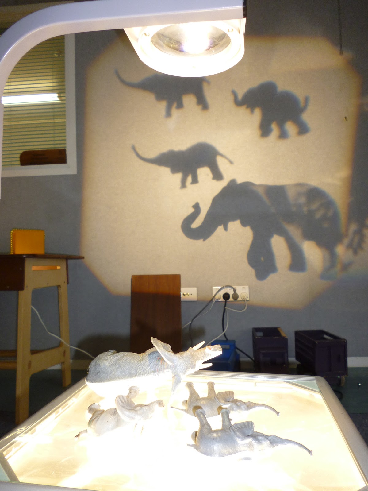 Mairtown Kindergarten: Exploring light, colour and shadow
