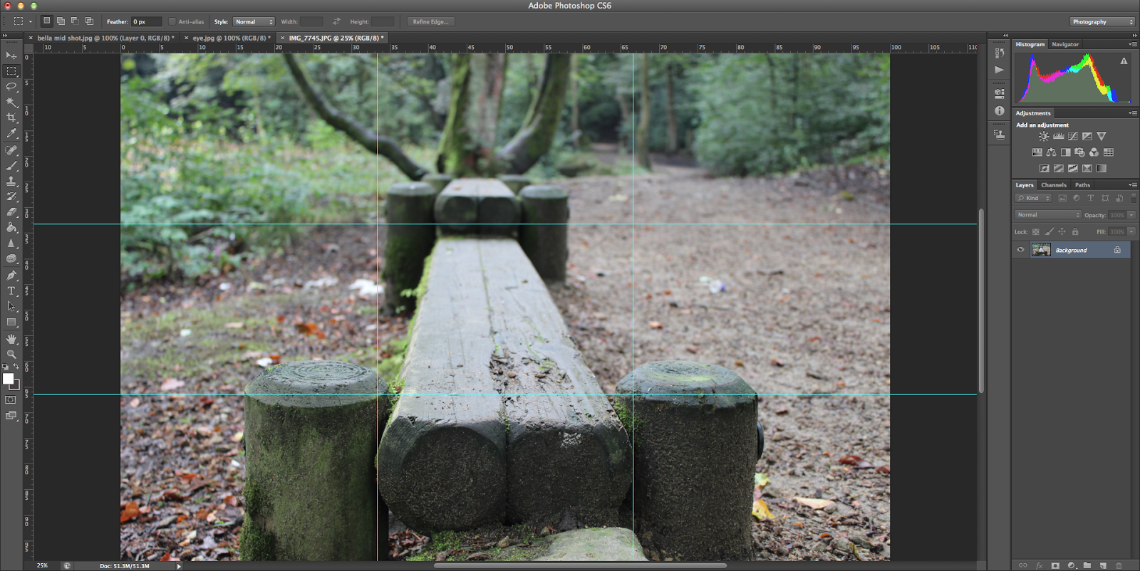 Photography Activity 2 Rule Of Thirds photography-activity-2-rule-of-thirds