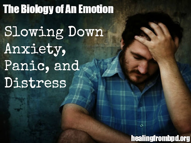The Biology of An Emotion | Slowing Down Anxiety, Panic,and Distress ...
