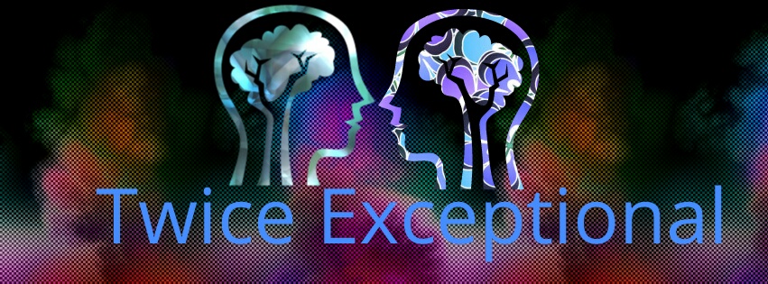 Twice Exceptional: Understanding the importance of Working memory