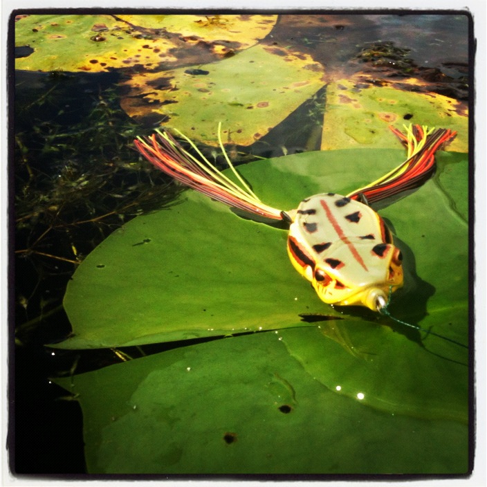 Bass Junkies Frog Pond: River2Sea Bully Wa Frog Review