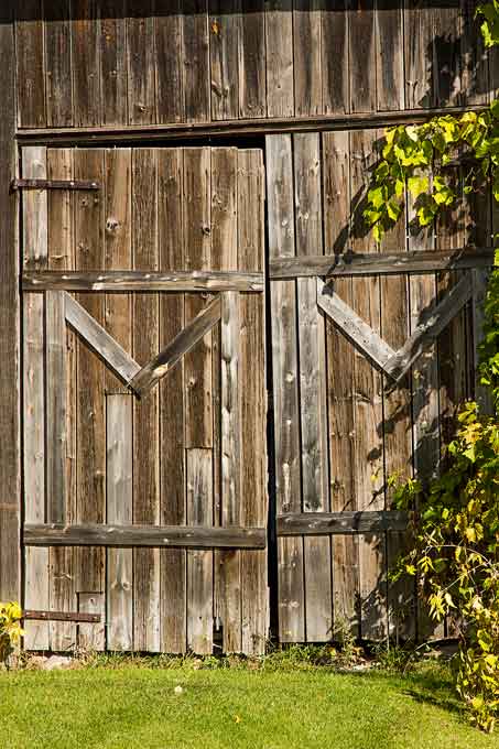 East Gwillimbury CameraGirl: Unpainted Barn