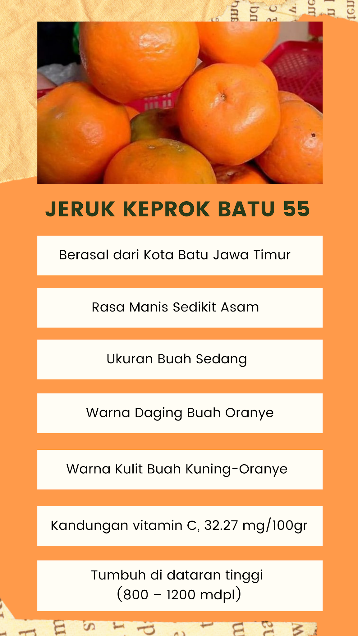 Agrowisata Petik Jeruk Selorejo