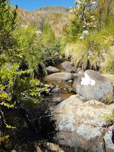 Sorry for that!: Climbing Inyangani - and death at the top!