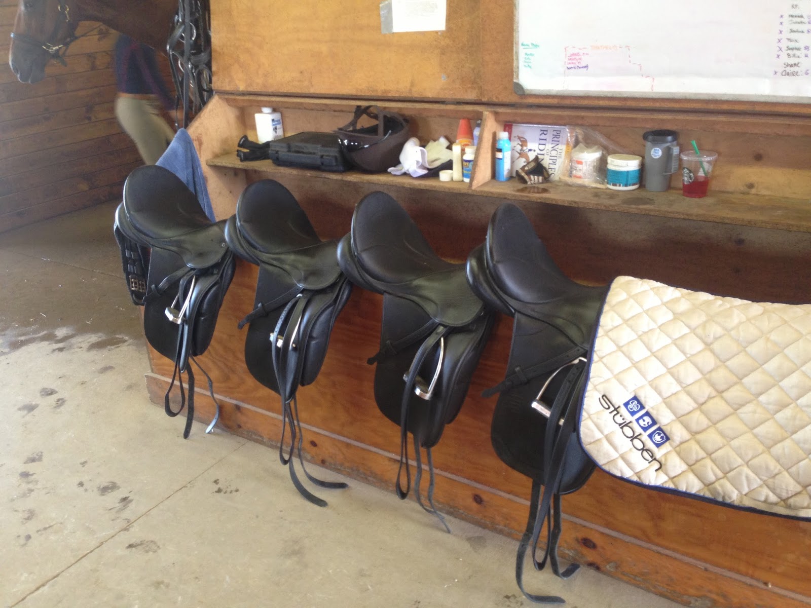 Boyd and Silva Martin: Silva's Stübben Saddles