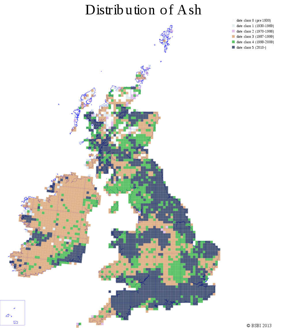 Ash Tree Distribution Map at Anthony Klein blog