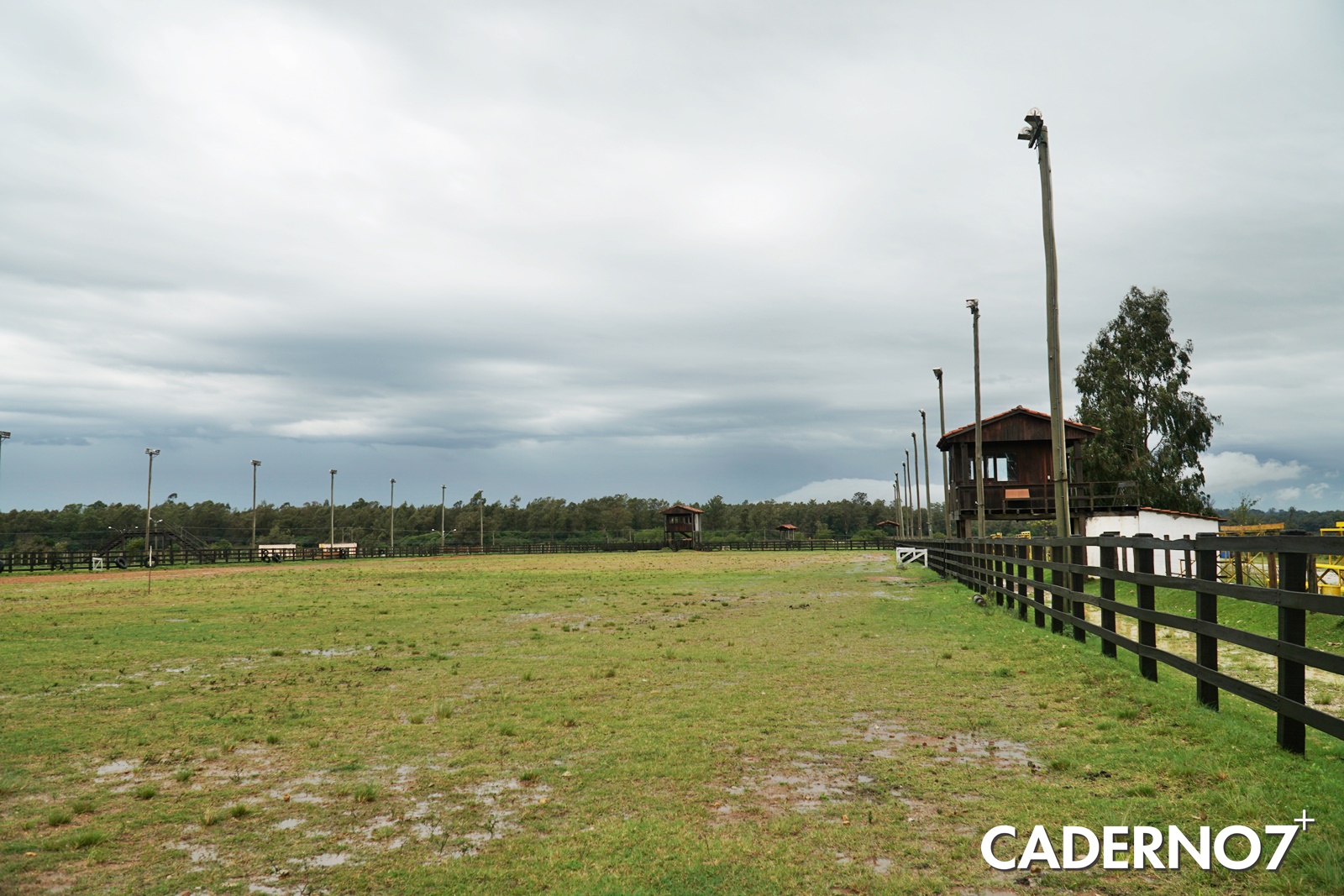 Caderno7: Escola de Laço Matheus Brondani realiza 1º Rodeio Estadual em ...