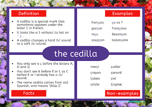 Changing Phase: The Frayer Model