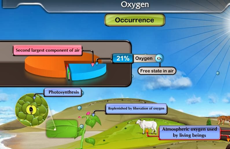 Science, Reason and Logic Rule: CHON