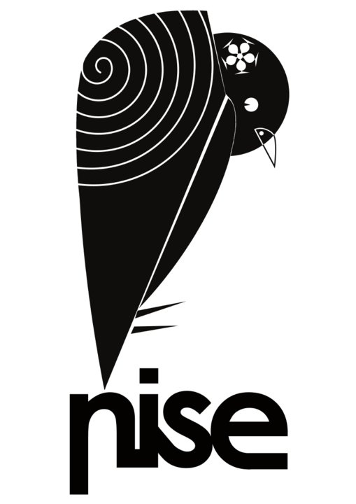 Nise Skateboards: HALF TERM BRILLIANCE!