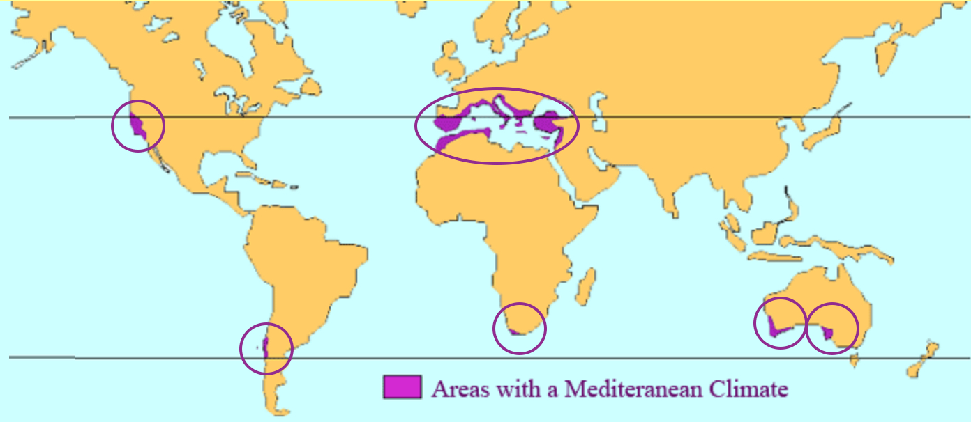 NephiCode: Comparing Climates in the Land of Promise