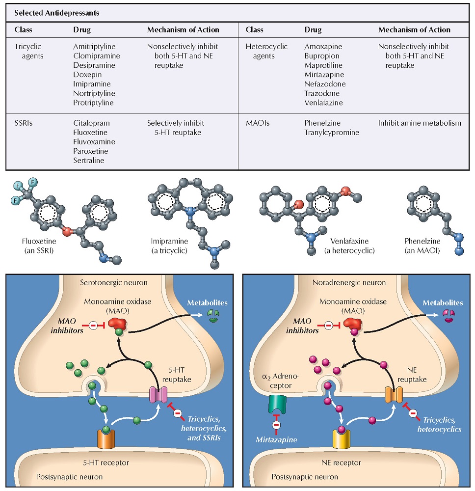 Antidepressants: Mechanisms of Action - pediagenosis