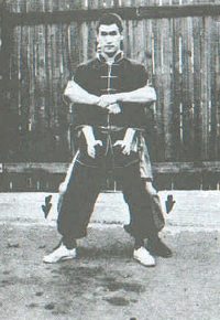 Learn Techniques to Fight: THE PHYSICS OF KARATE STRIKES