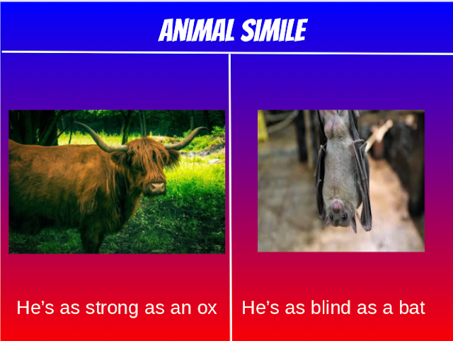 Aliyan K @ Panmure Bridge School: Animal Similes