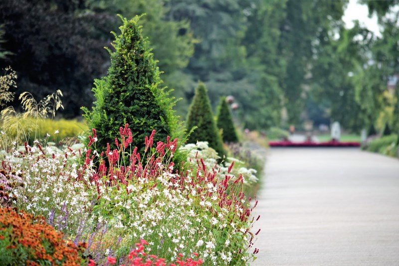 Great Broad Walk Borders en Kew Gardens: 20 minutos caminando entre ...