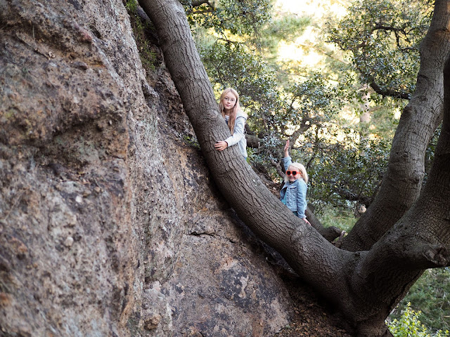 Little Hiccups: Cragmont Rock Park, Berkeley