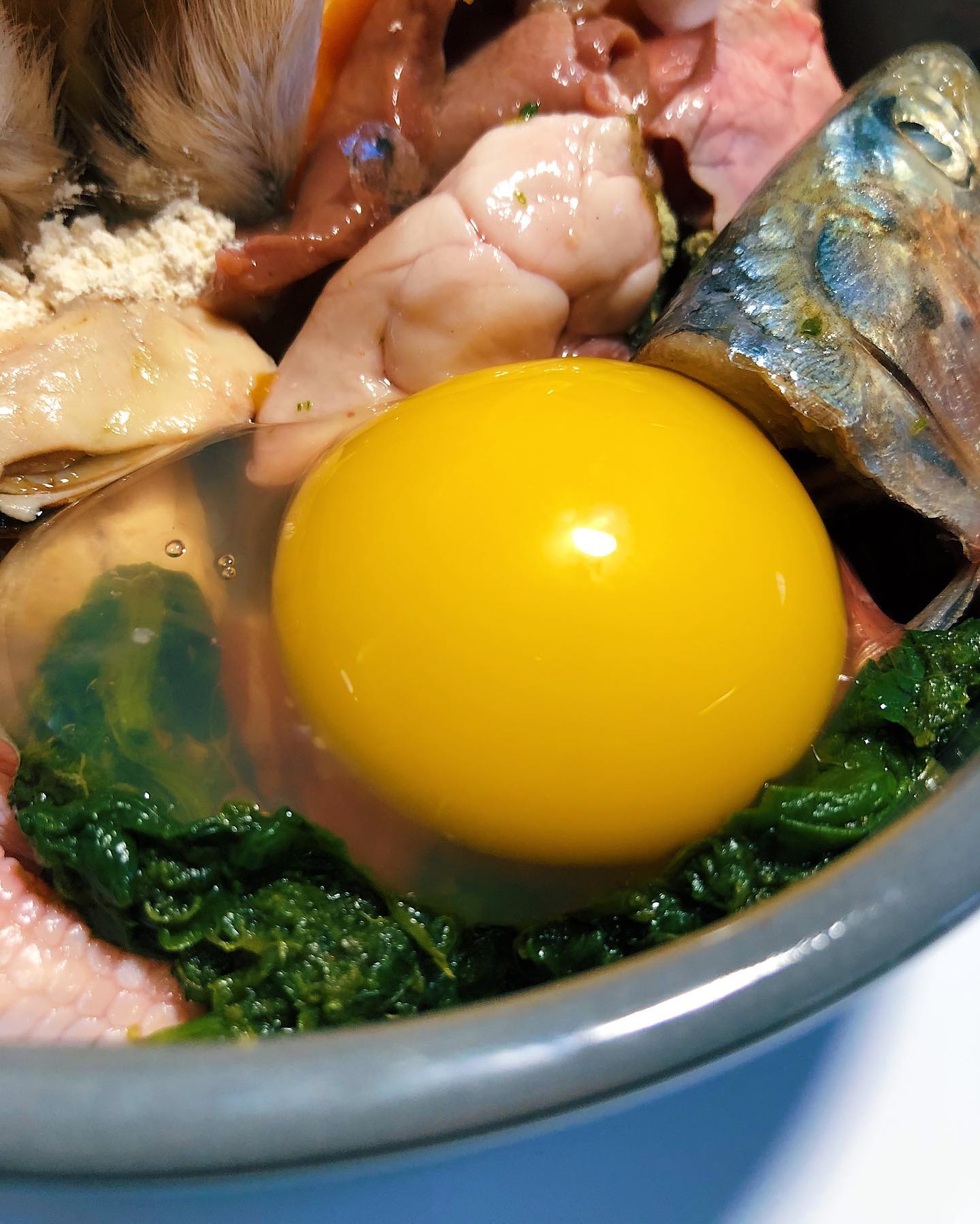 Raw Bowl- Beef Trachea for Brekky | Hannah Ra