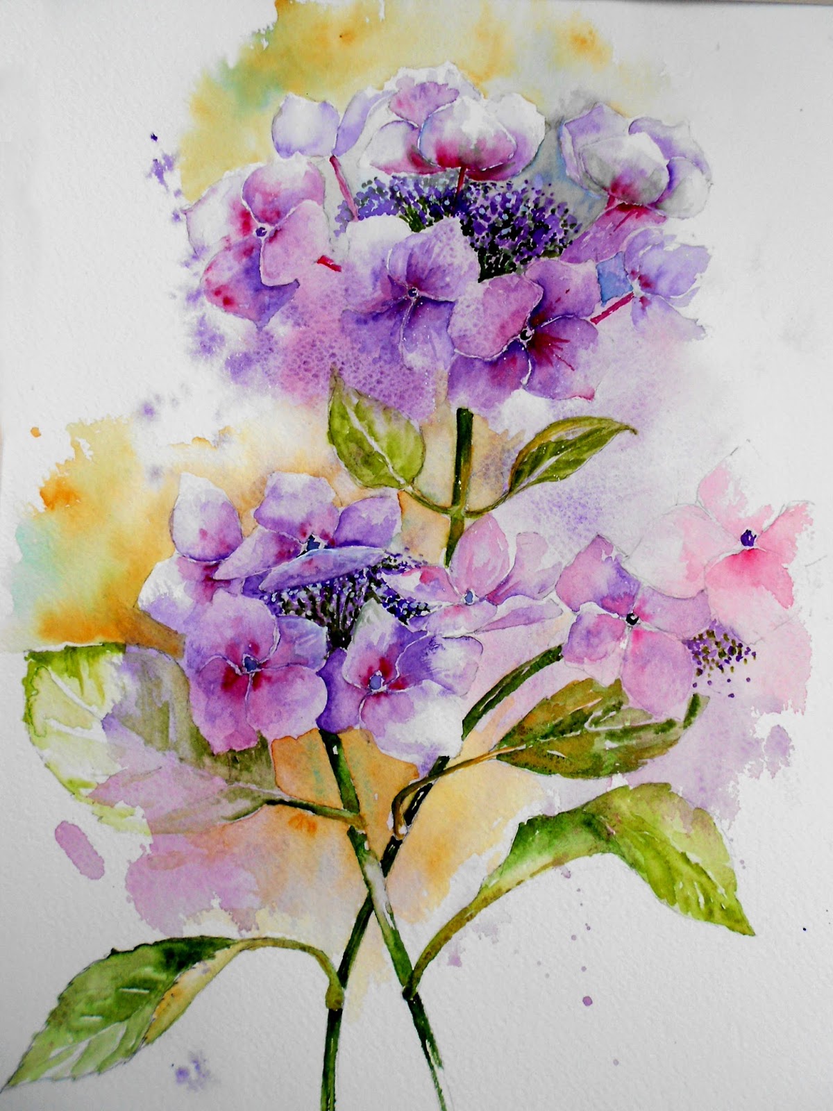 Watercolour Florals: Hydrangea