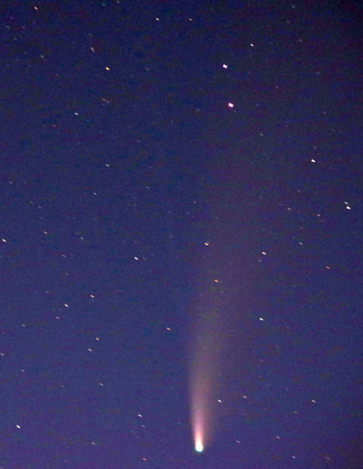 Birds of the Heath: Comet Neowise and its ion tail