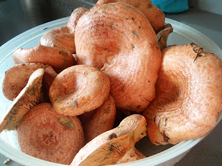 PATATAS CON NÍSCALOS