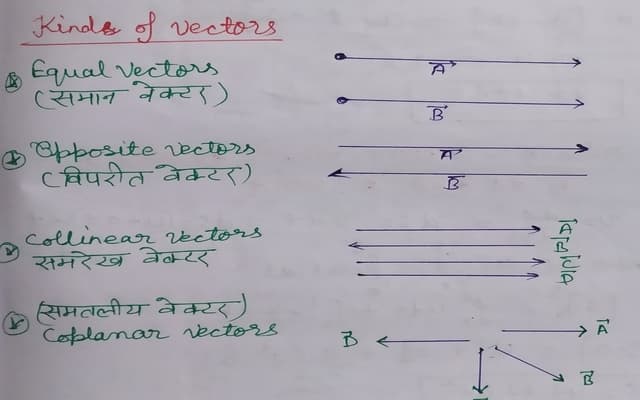 सदिश के प्रकार -Types Of Vectors , 10 Kinds of Vector | types of vector ...