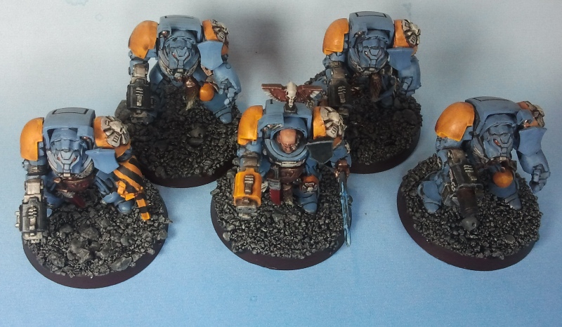 Travelling the Immaterium: Terminators Are Back... A Few Completed Wolf ...