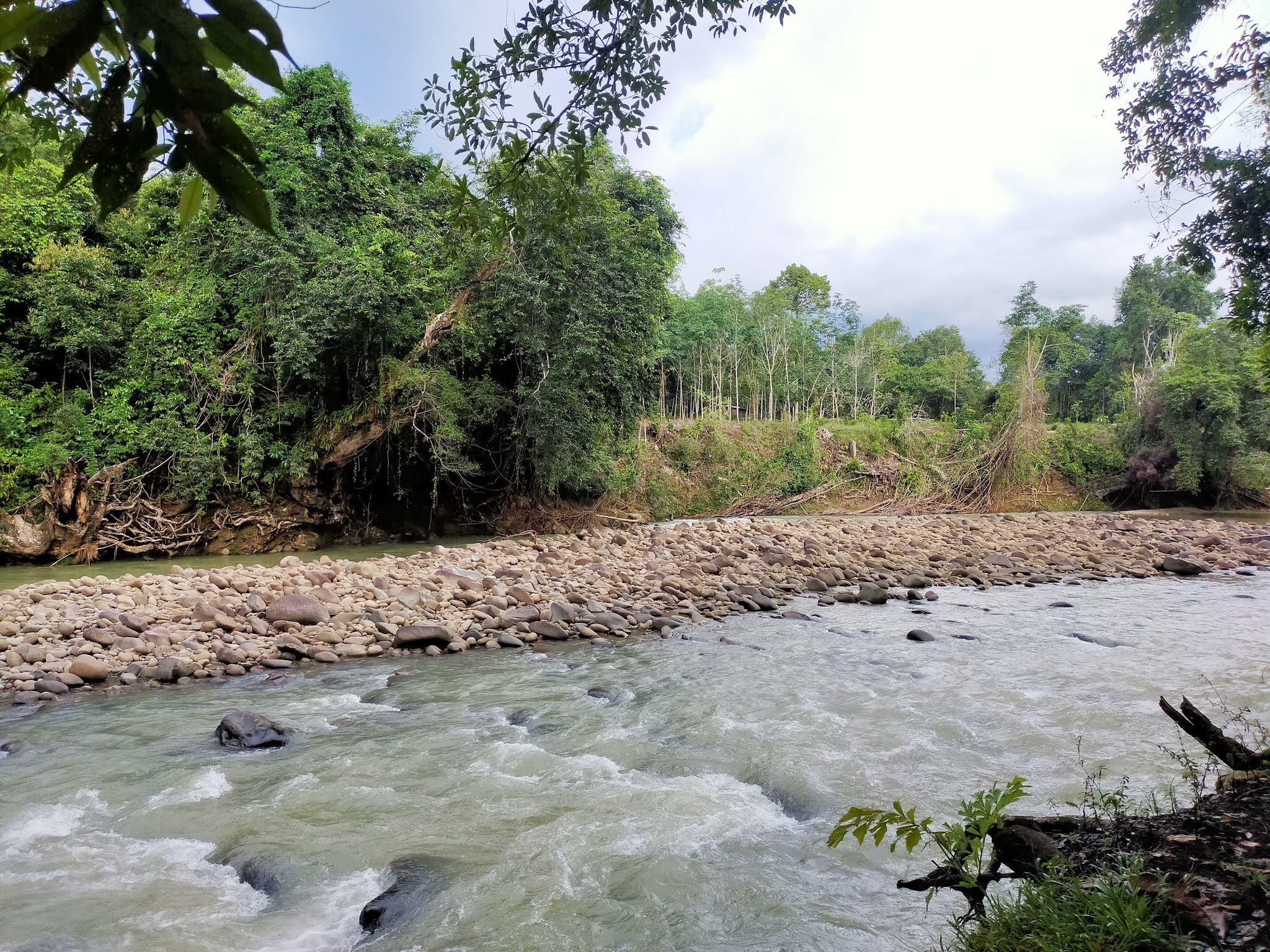 Mandalipau White Water View & Fish Pond