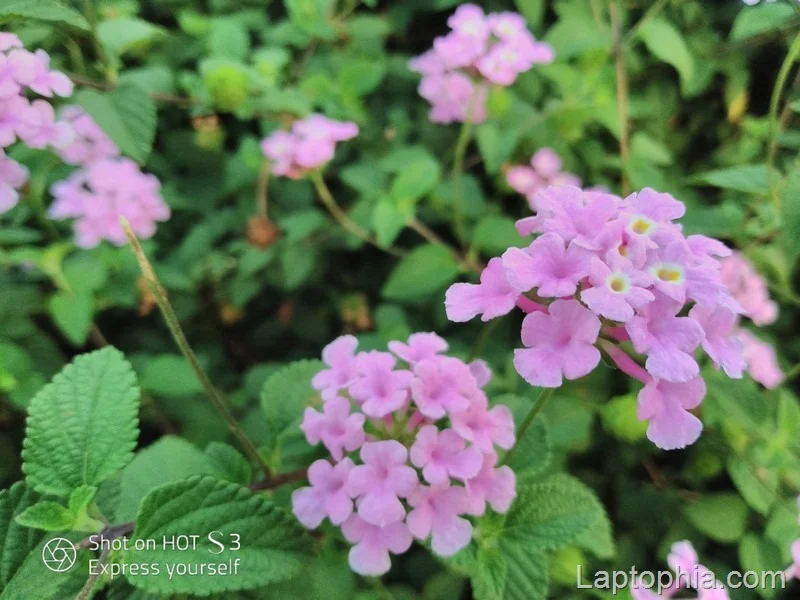 Review Infinix Hot S3 X573: Smartphone Selfie Killer dengan OS Android ...