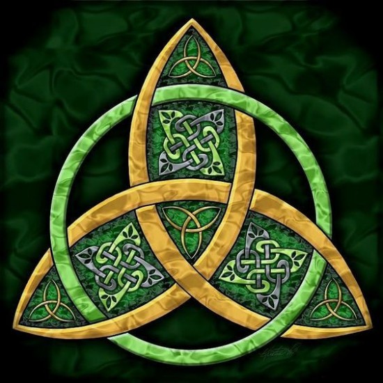 Паутина в вечерних сумерках 2020