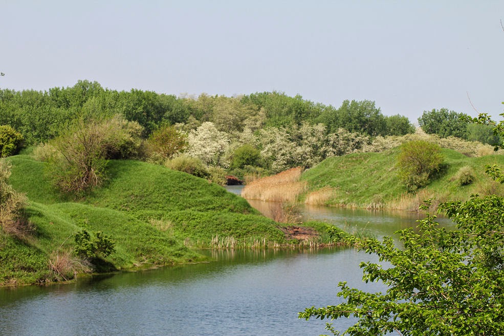 The Horsemeister Blog: Giant Goose Ranch