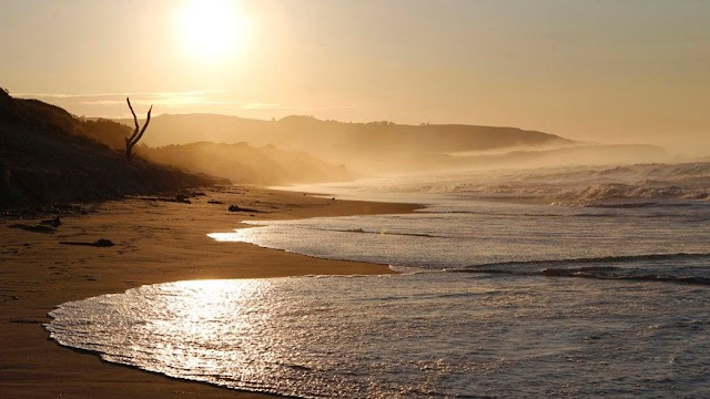 Scientists Discovered A Gigantic ‘Lost Continent’ That Sunk Into The ...