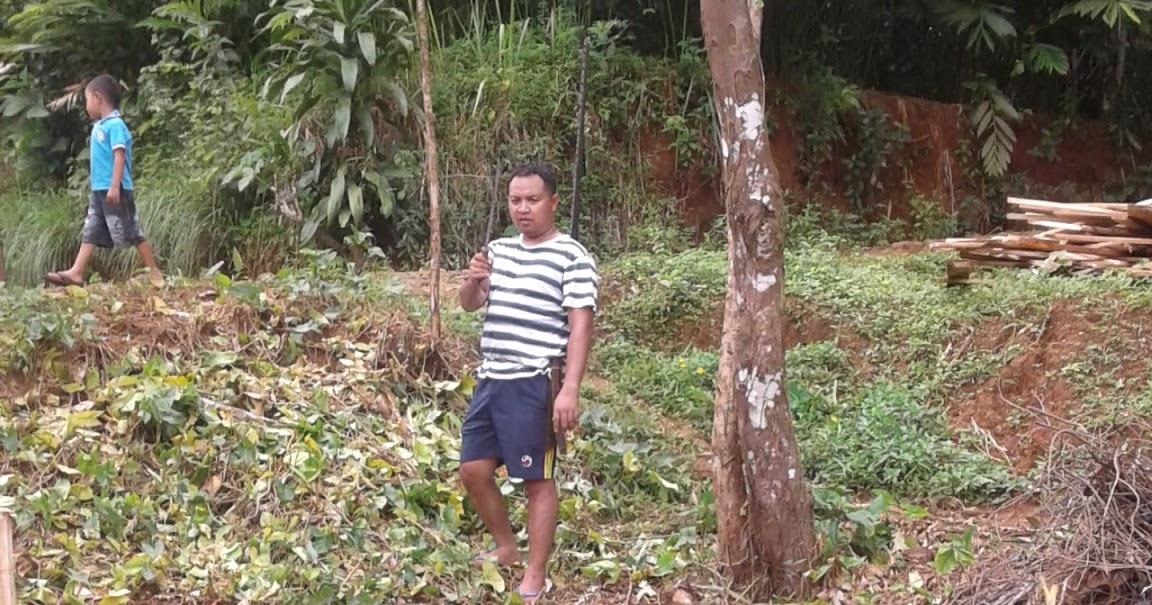 Top domba farm: Tahap Awal pembuatan Kandang TOP DOMBA FARM