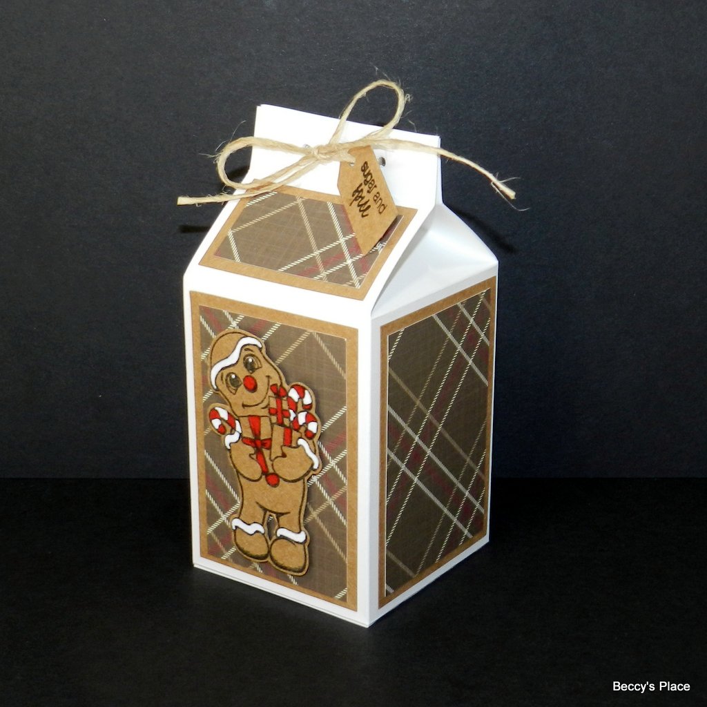 Beccy's Place: Tutorial - Milk Carton Box