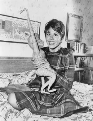 Fang Shih-yu and the "Trivia Wing" of the Shaolin Temple!: November 2012