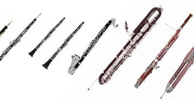 Juanjo Garrigues: Instruments de Vent fusta